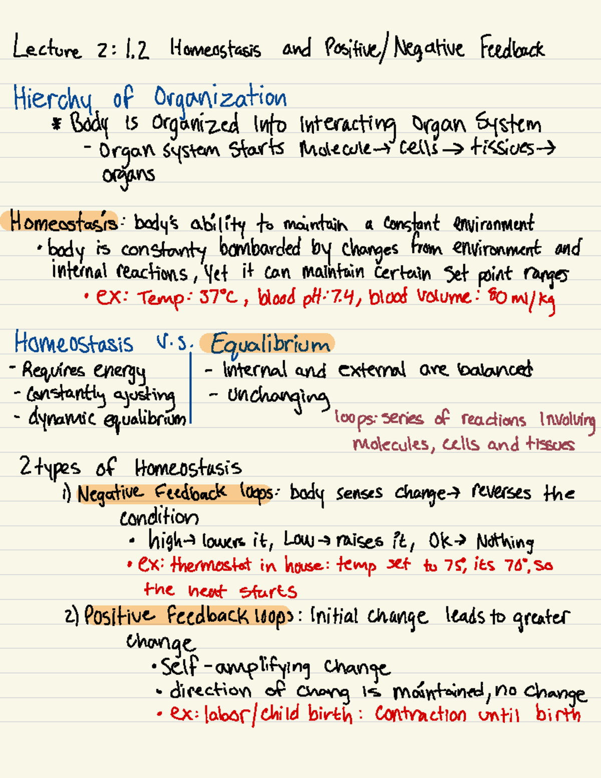 Bio 141 notes- Homeostasis - Lecture 2 :1 Homeostasis andPositive ...