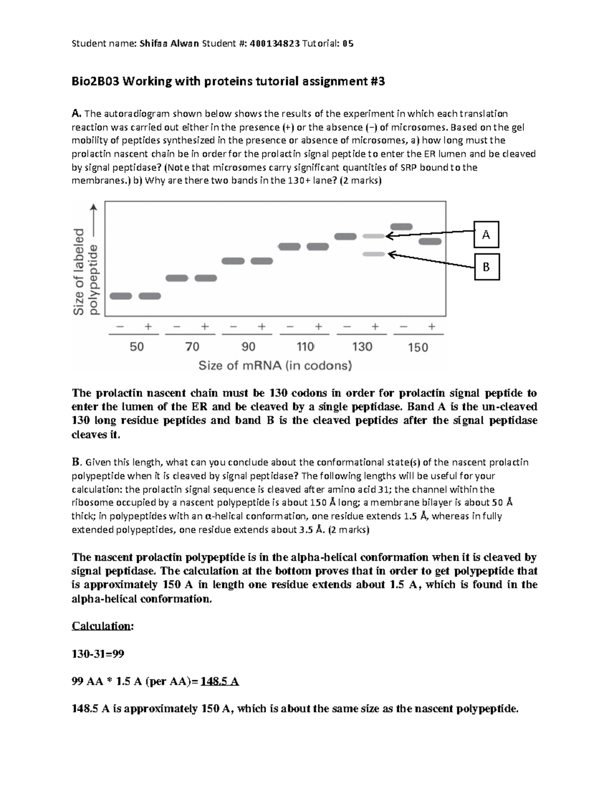 Tutorial 3 Assingment Warning Tt Undefined Function 32 Warning Tt Undefined Function 32