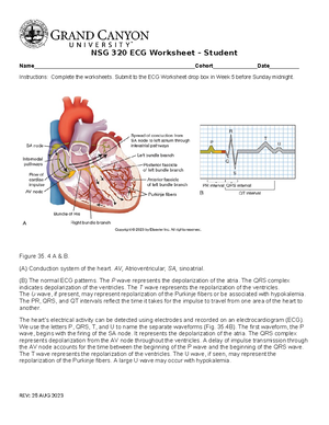 Assign NSG 320 Topic 7-8 GI Nutrition Worksheet- Student (TRAD ONLY ...