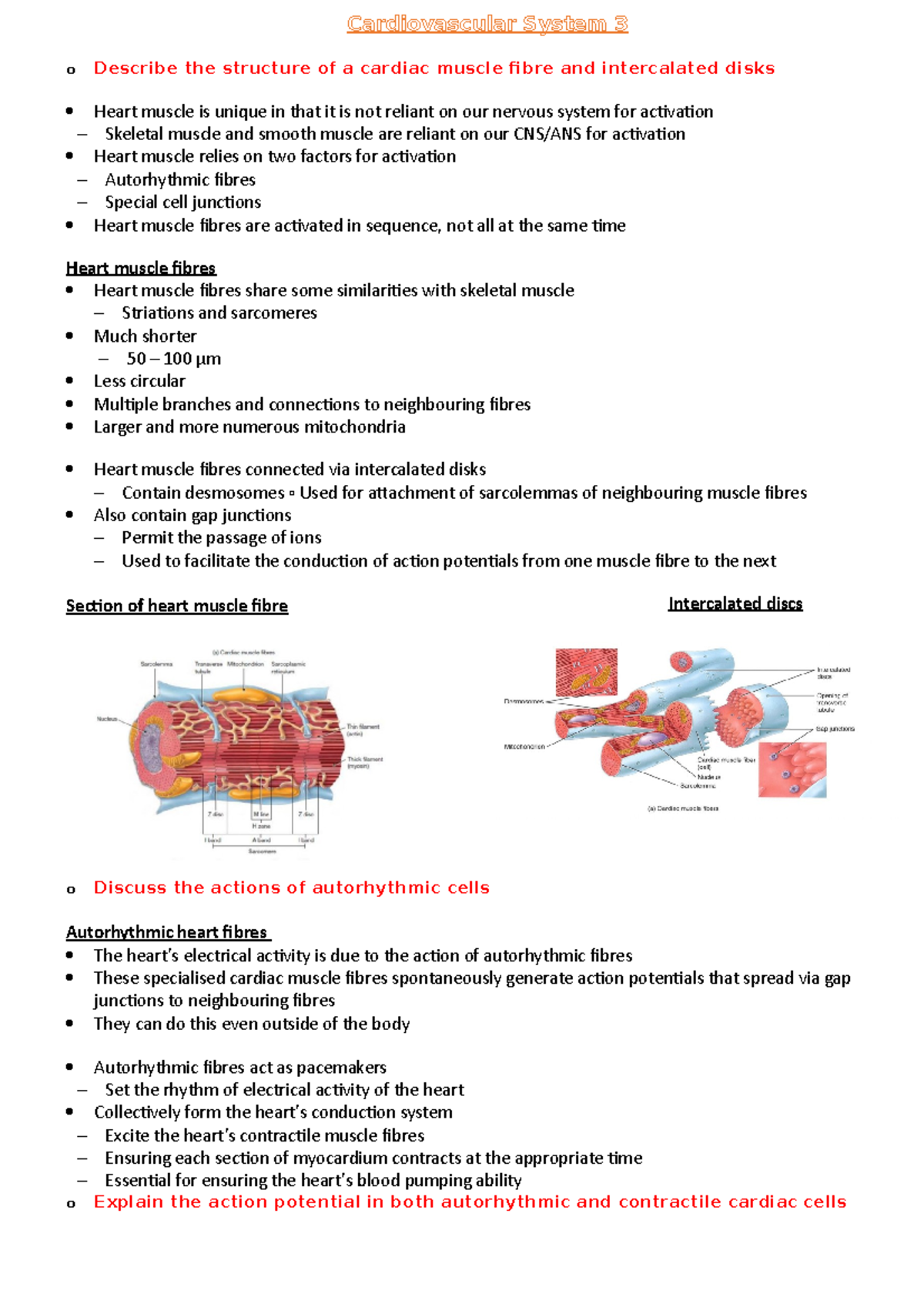 Cardiovascular System 3 - Studocu