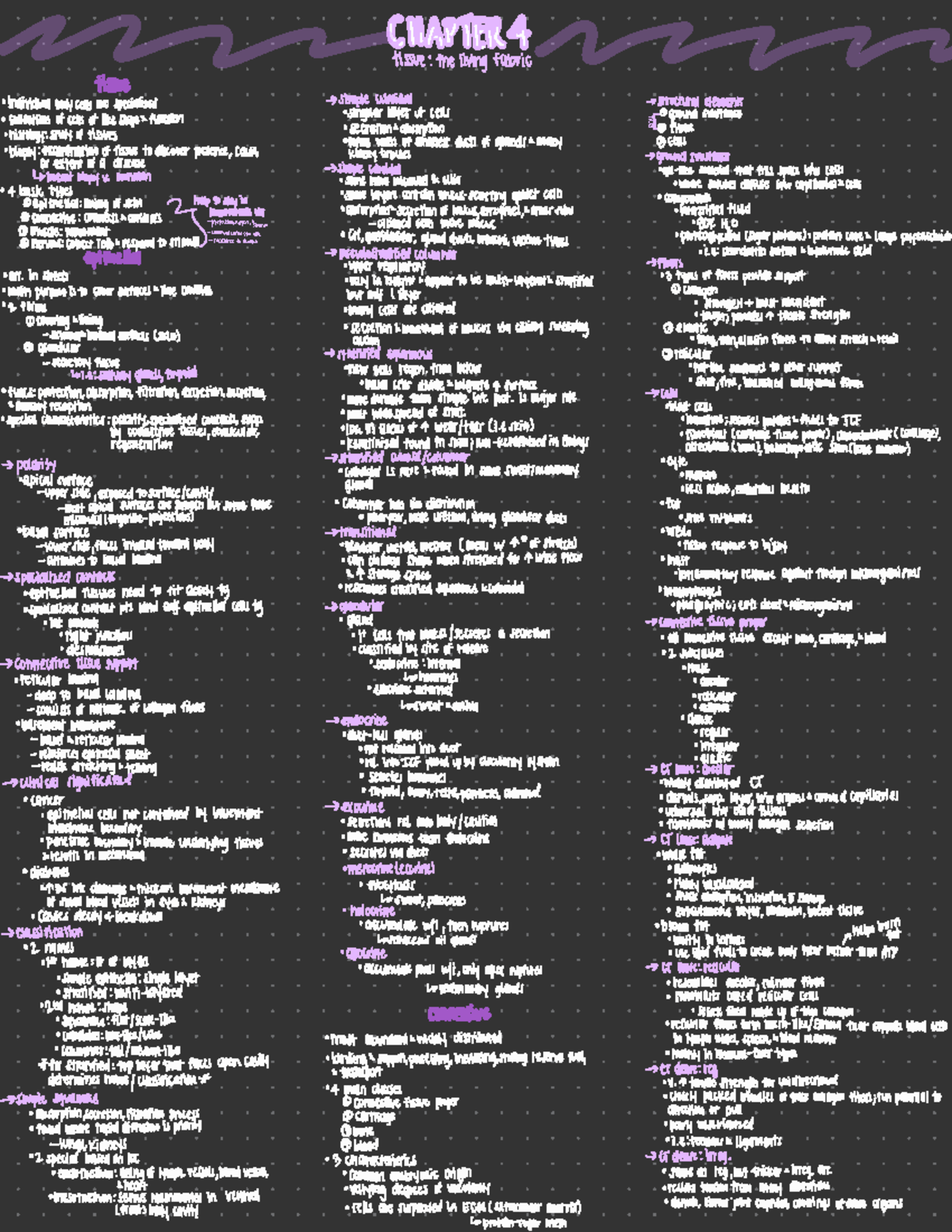 Test 2 material - notes on tissues, skin, and bones - CHAPTER- tissue ...