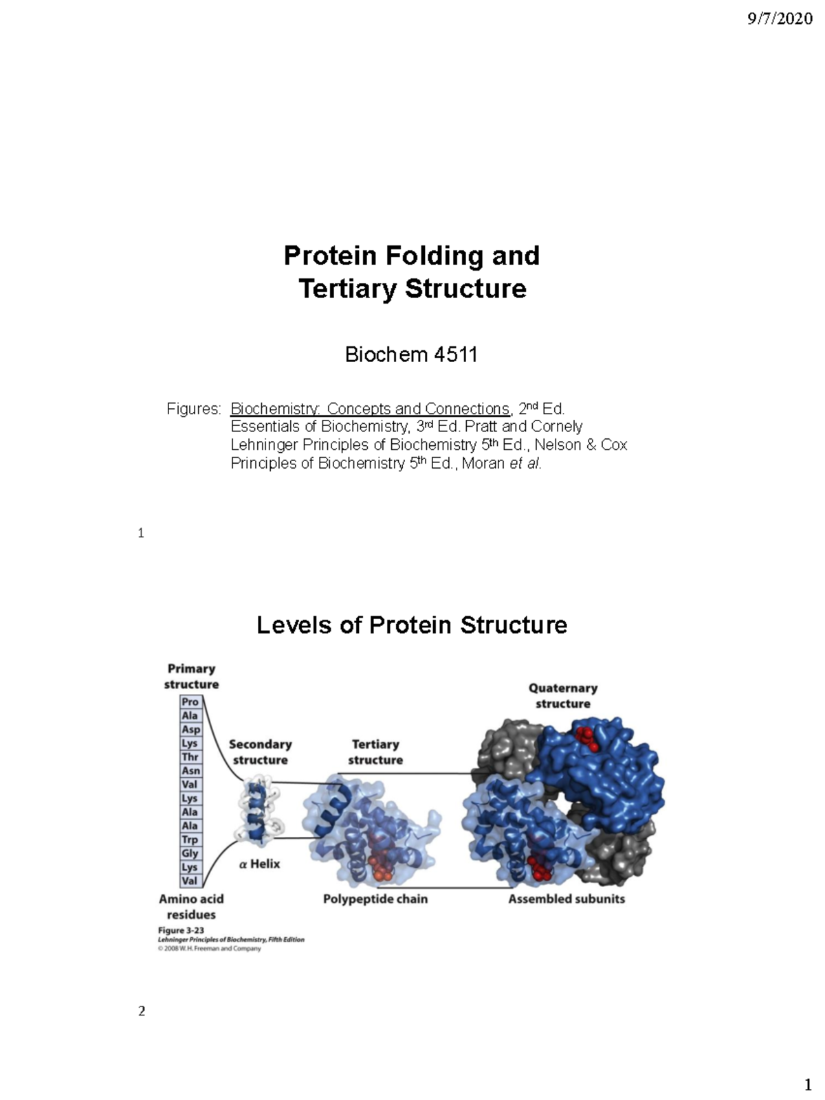 Protein Folding Tertiary Structure at Brad Rios blog