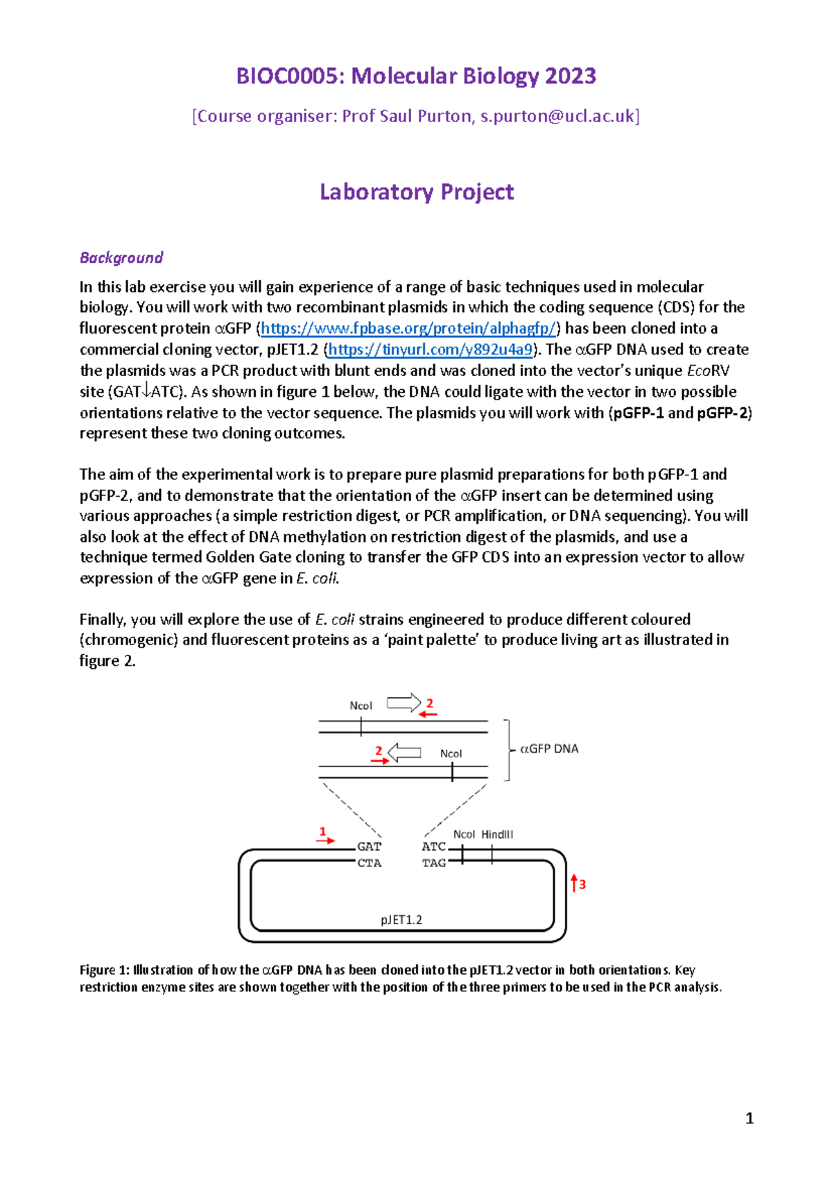 BIOC0005 practical guide 2023 final - BIOC0005: Molecular Biology 202 3 ...