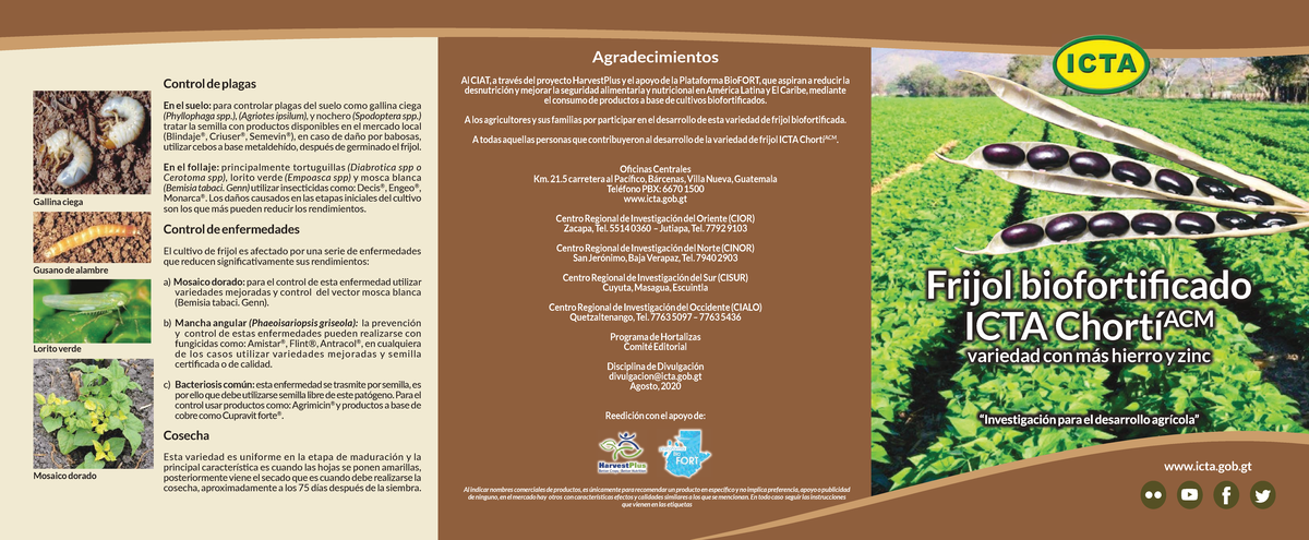 Frijol ICTA Chortí ACM agosto 20 - Agradecimientos Al CIAT, a través del proyecto HarvestPlus y ...