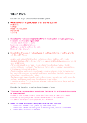 Week 1 - ISAP - Week 1 practise materials/questions - Week 1 Q’s Describe structure of the ...