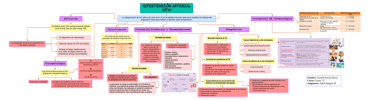 Gisselle Paccha - Mapa Hipertensión Arterial - Hay diversos factores ...