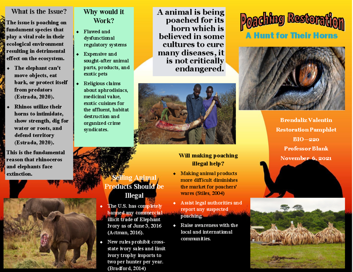 Bio Pamphlet - Ecosystem Bio Pamphlet - What is the Issue? The issue is ...