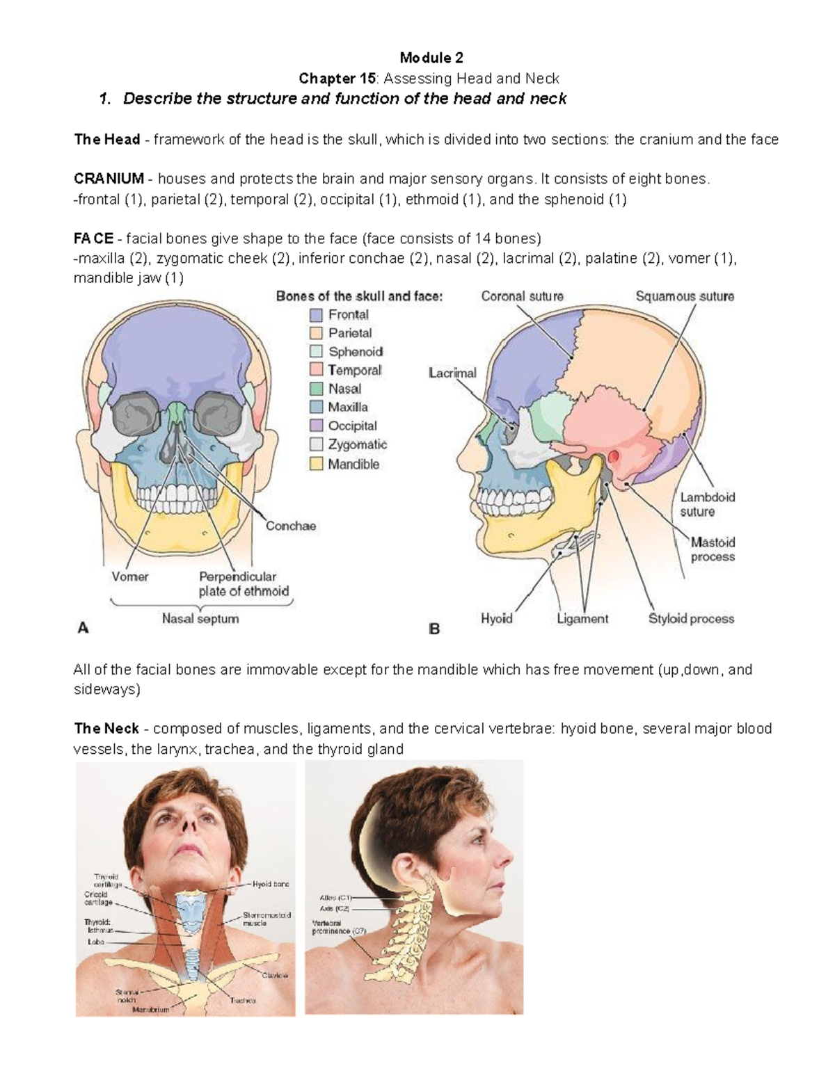 Health Assess - Module 2 - Module 2 Chapter 15: Assessing Head and Neck ...