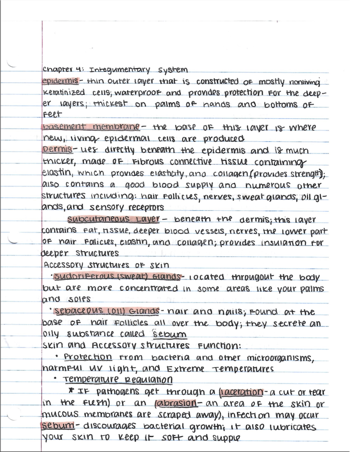 Chp 4 Integumentary System - MED 101 - Studocu