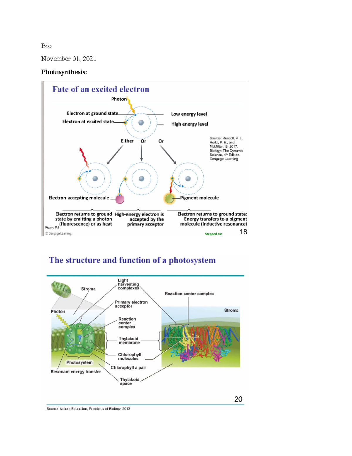BIO Lecture Notes NOV 11 - Bio November 01, 2021 Photosynthesis ...