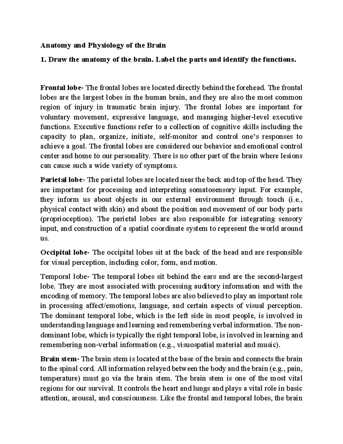 Anatomy and Physiology of the Human Brain - Anatomy and Physiology of ...