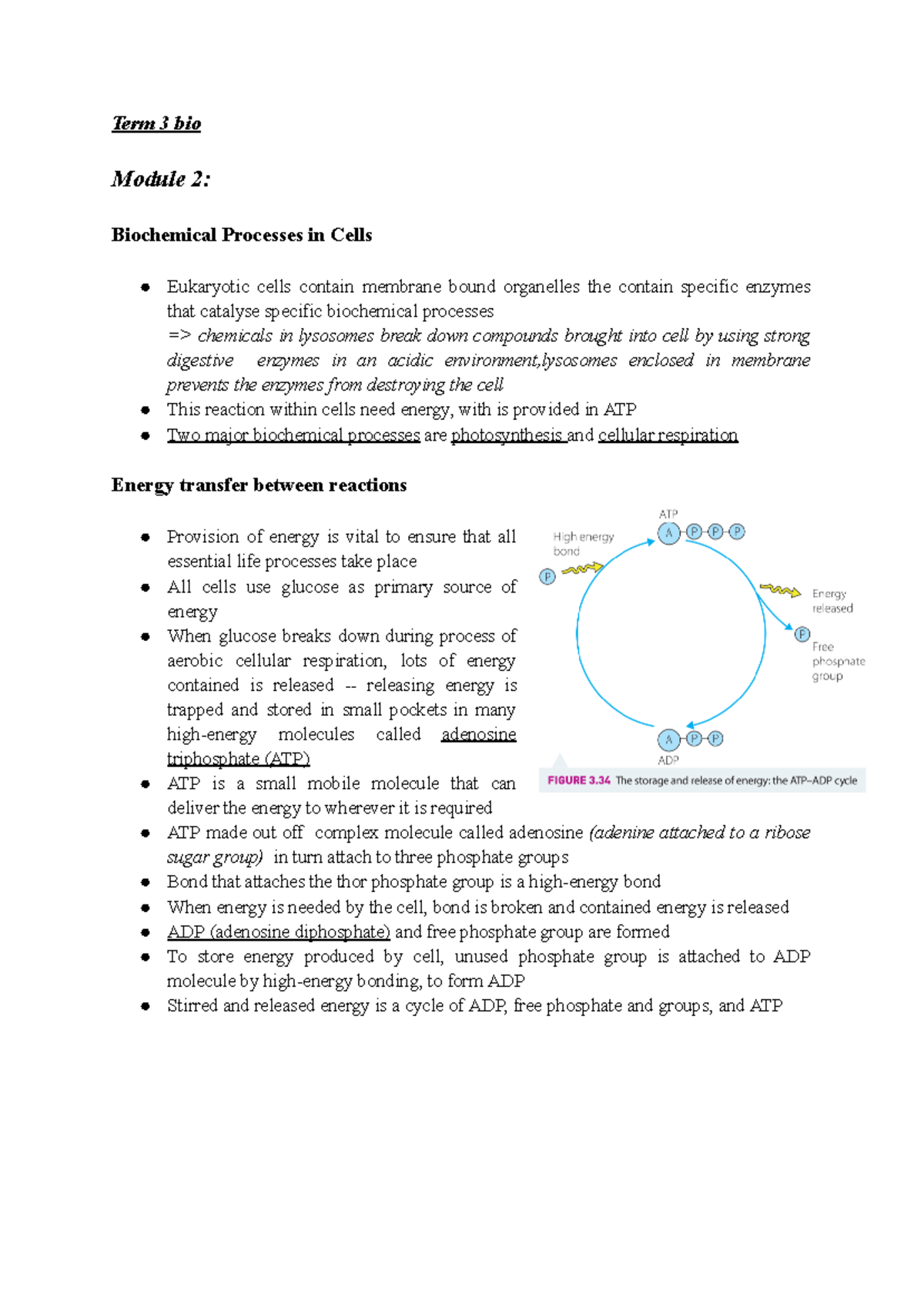 Term 3 bio - preliminary biology study notes of mod 2 - Term 3 bio ...