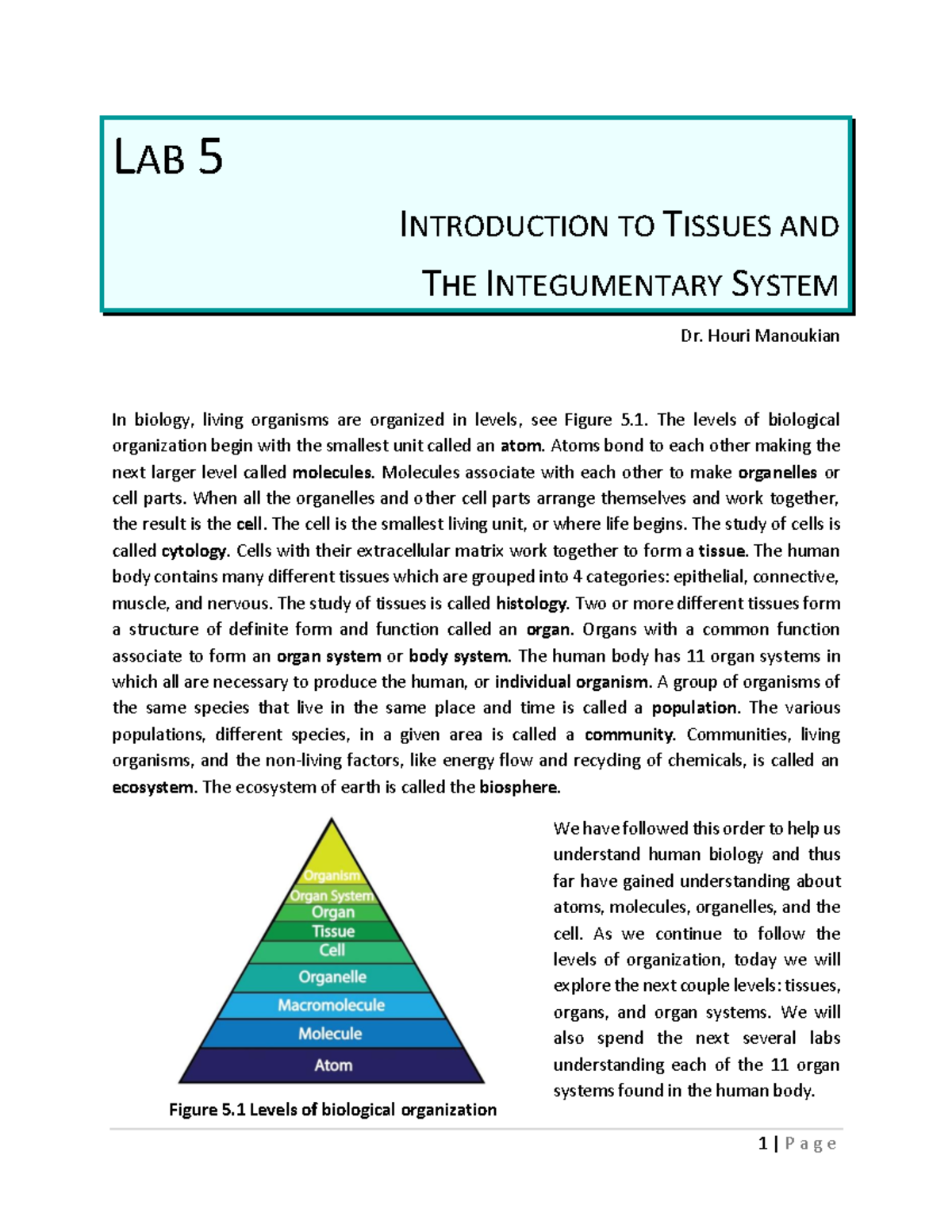 Lab 5 - Introduction to Tissues and Integumentary System - LAB 5 ...