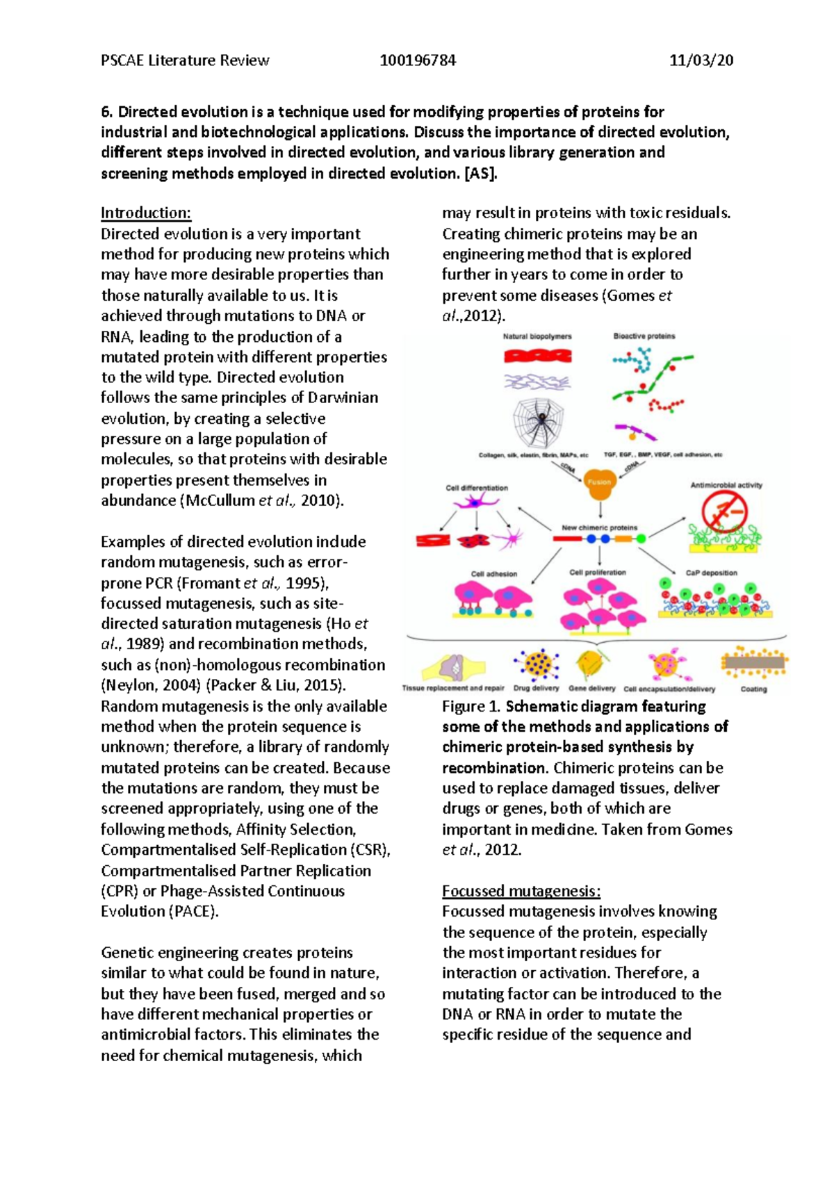 Directed Evolution Protein Structure, Chemistry and Engineering ...