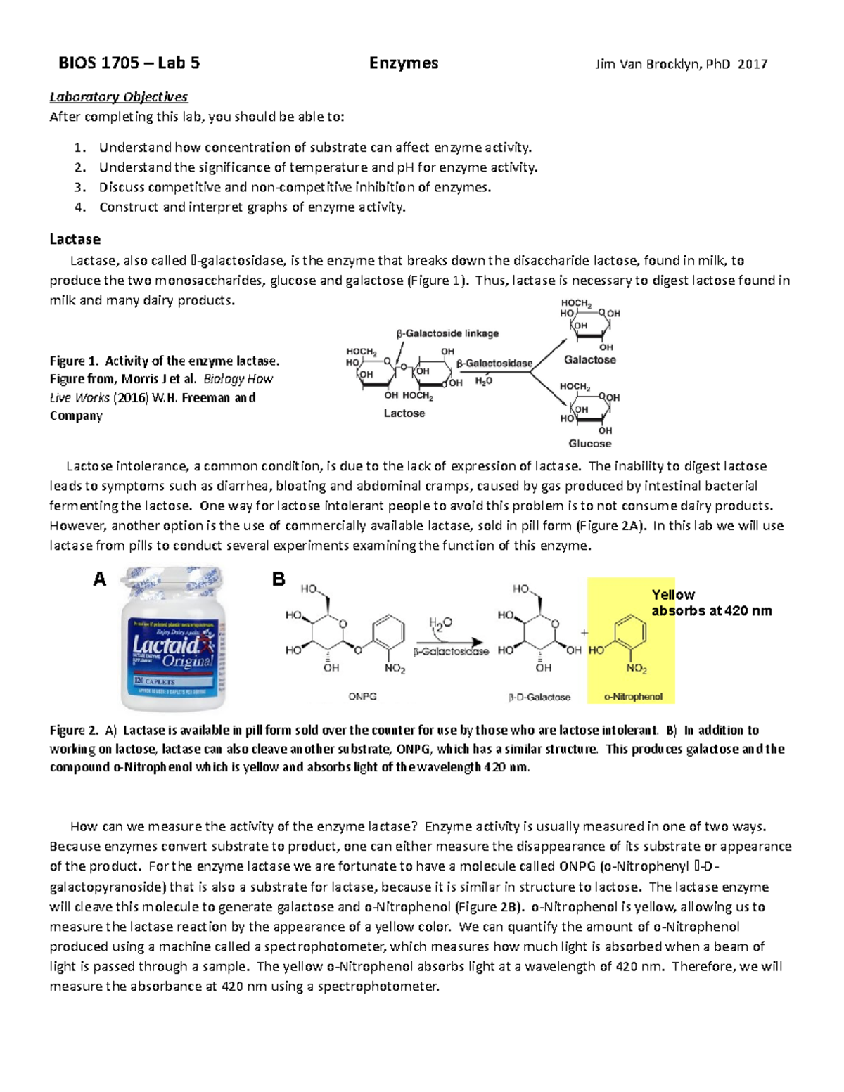 Enzyme lab, Fall 21 - BIOS 1705 – Lab 5 Enzymes Jim Van Brocklyn, PhD ...