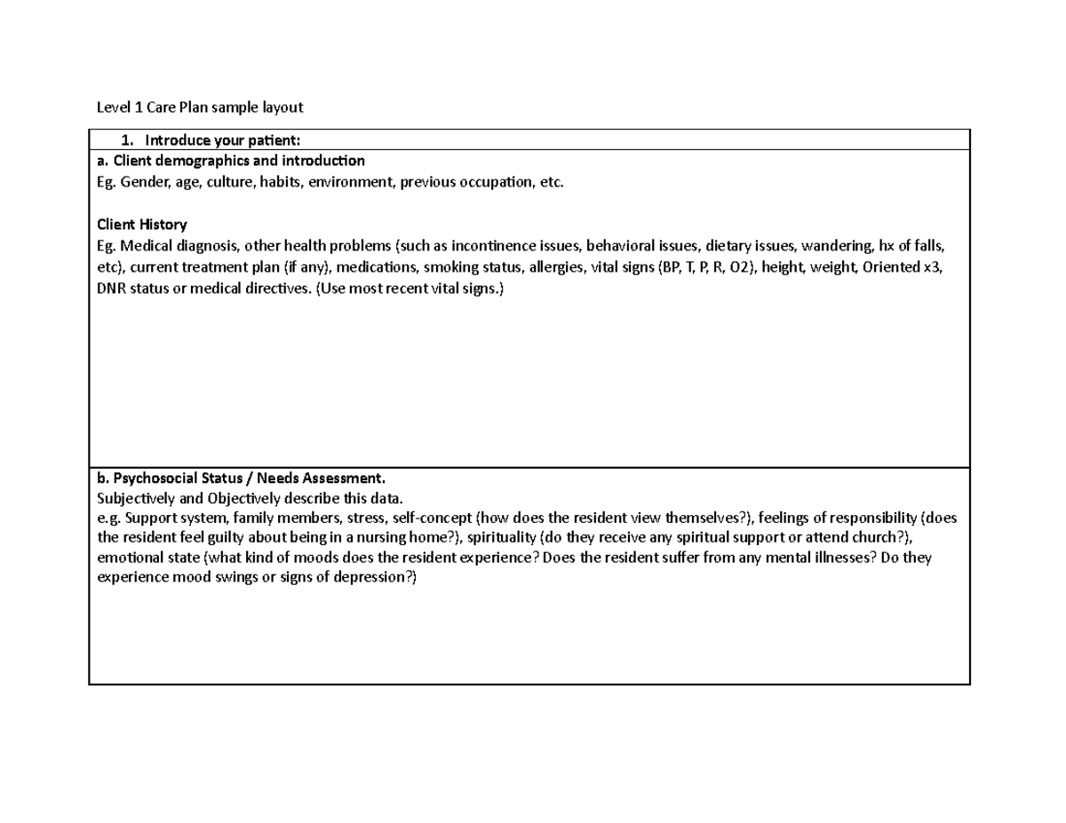 NSG5112P care plan grid 2 - Level 1 Care Plan sample layout Introduce ...