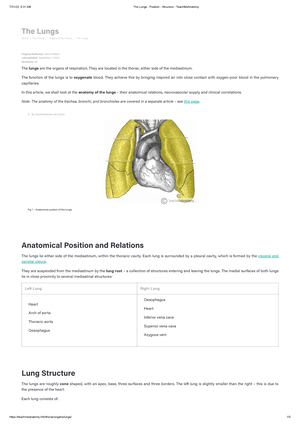 The Lungs - Position - Structure - Teach Me Anatomy - The Lungs Home ...
