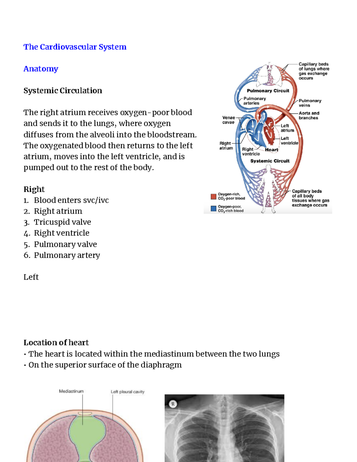 HS2 WK1 - Lecture notes on lesson 1 content - The Cardiovascular System ...