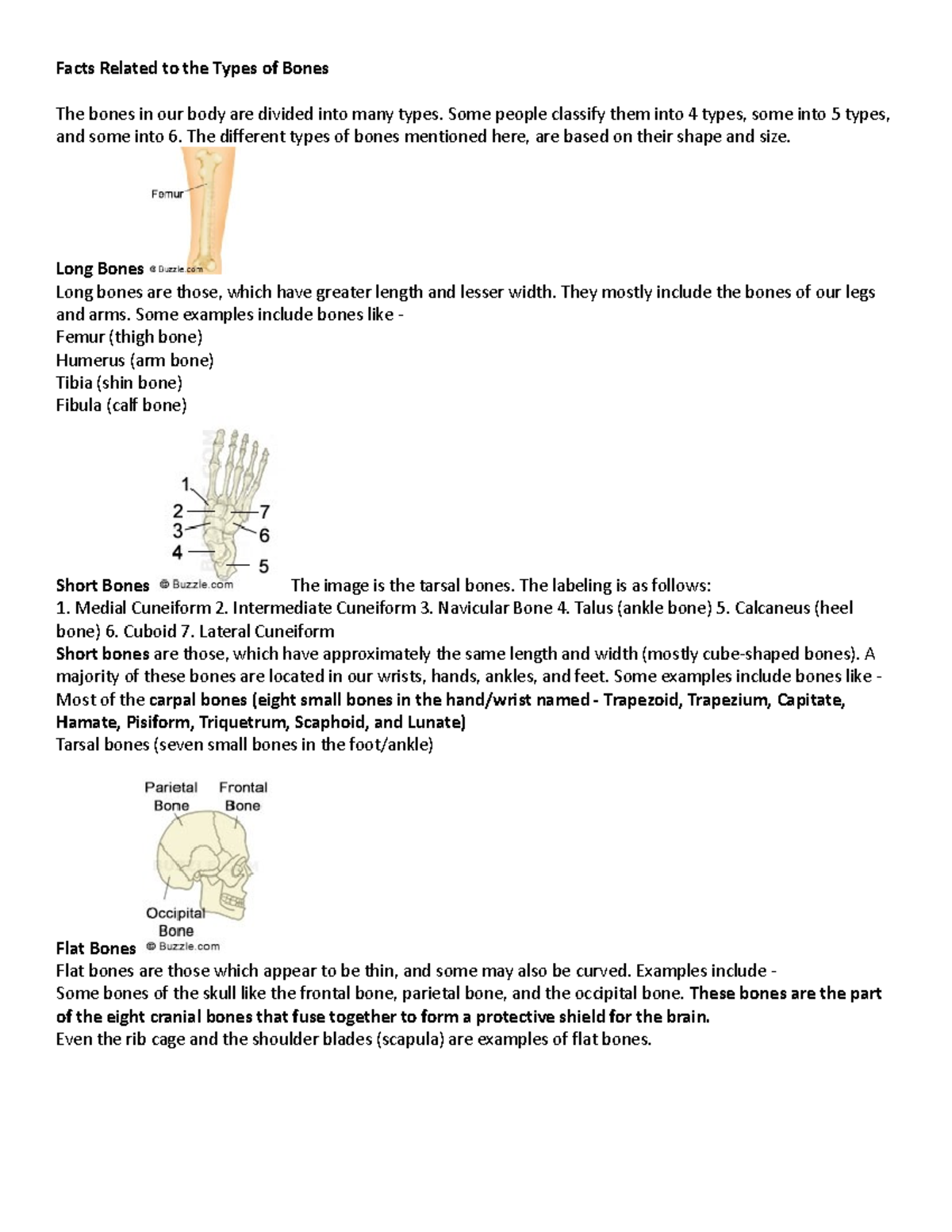 Facts Related to the Types of Bones - Some people classify them into 4 ...