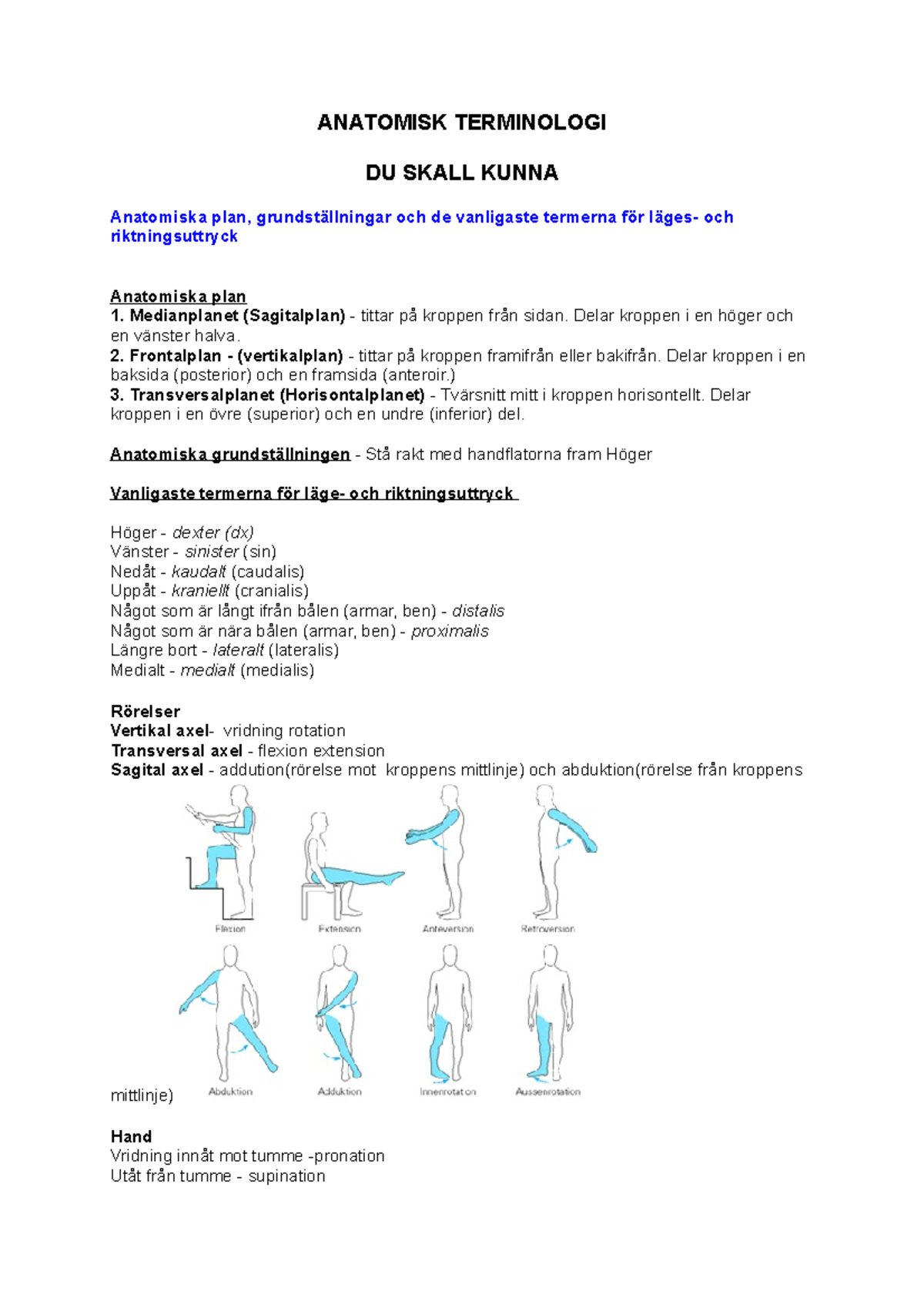 Anatomisk Terminologi - ANATOMISK TERMINOLOGI DU SKALL KUNNA Anatomiska ...