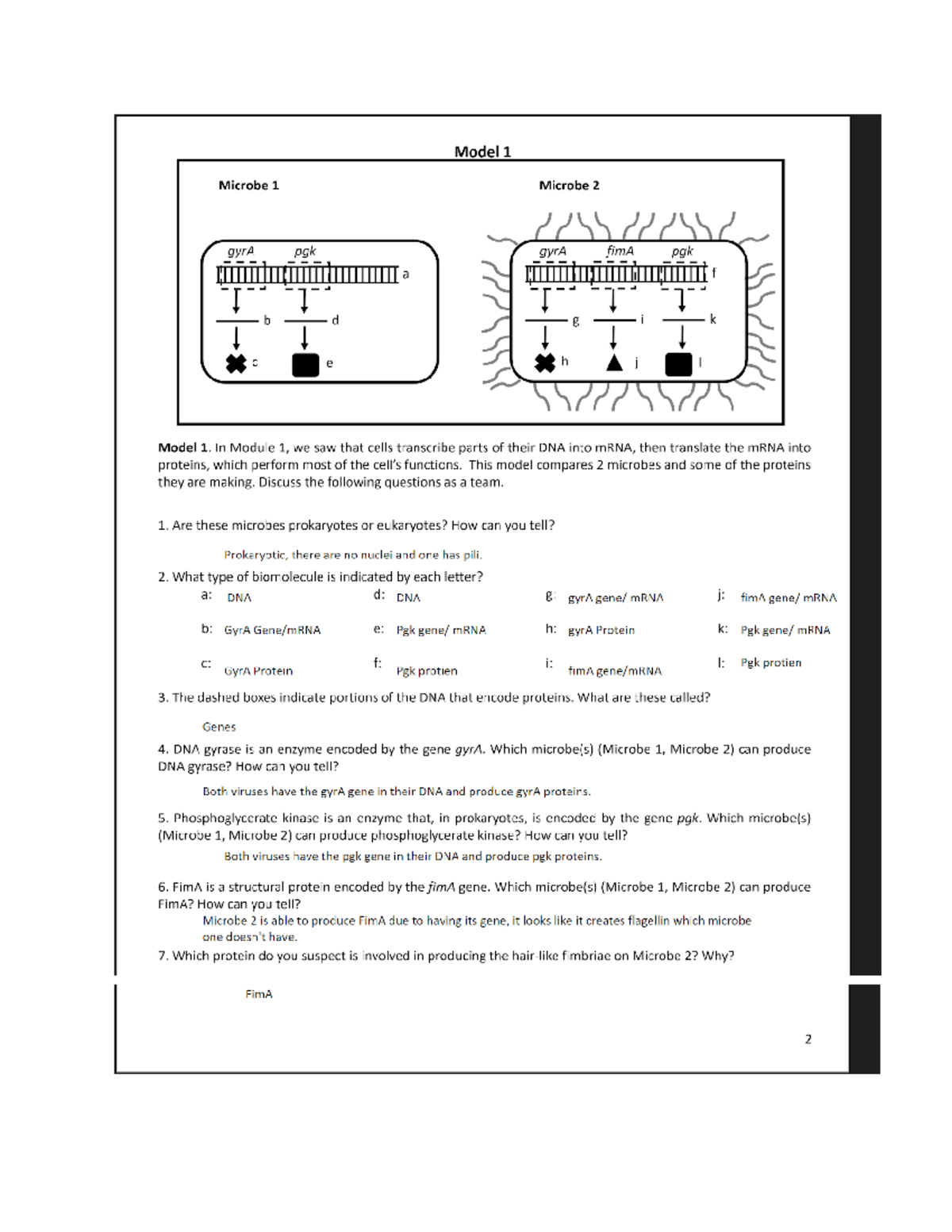 Assignment 2 DNA - MIC 205A - Studocu
