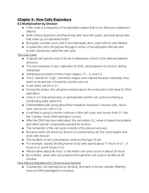 Chapter 4.4 Enzymes and Metabolic Pathways Notes - Chapter 4 - Energy ...