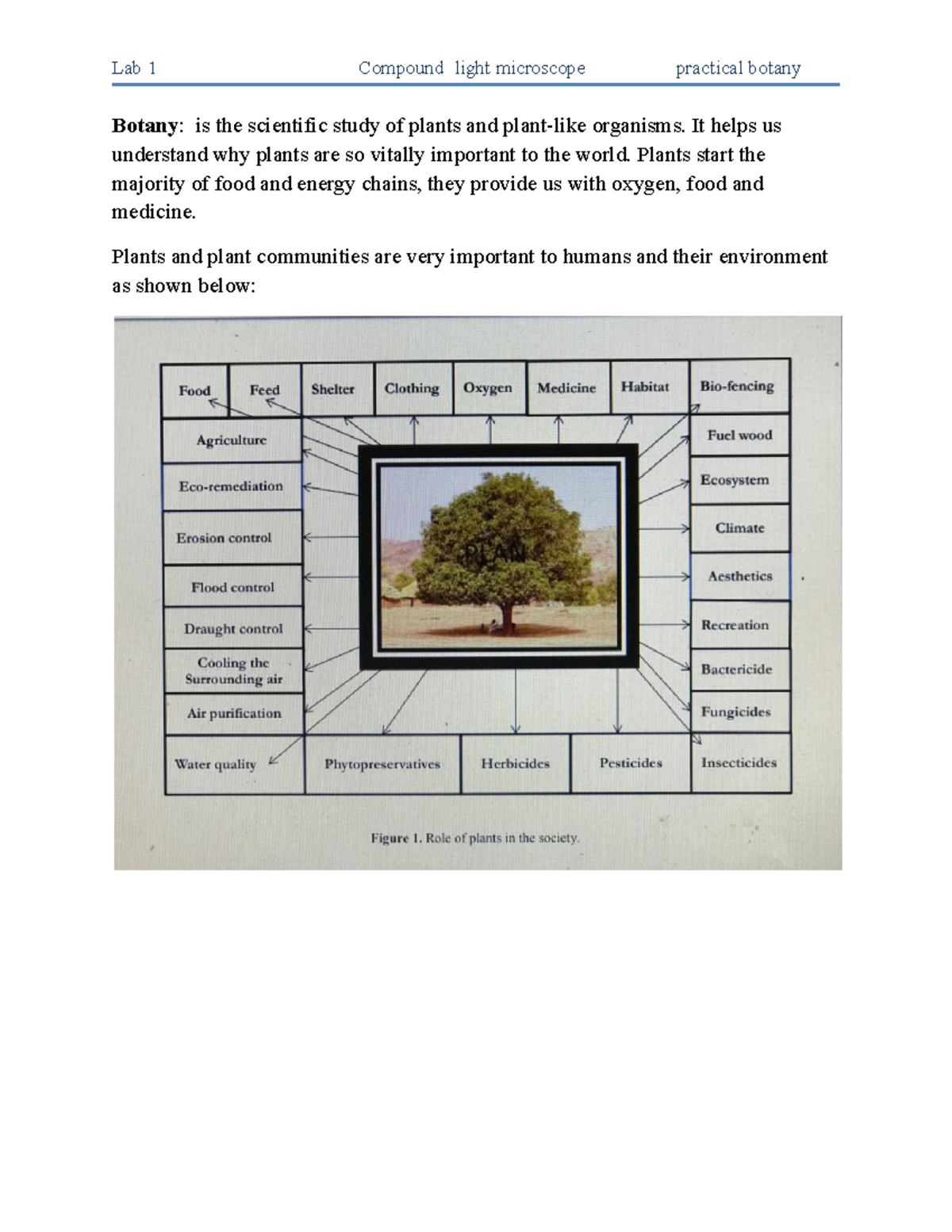 Botany lab 1 - Botany: is the scientific study of plants and plant-like ...