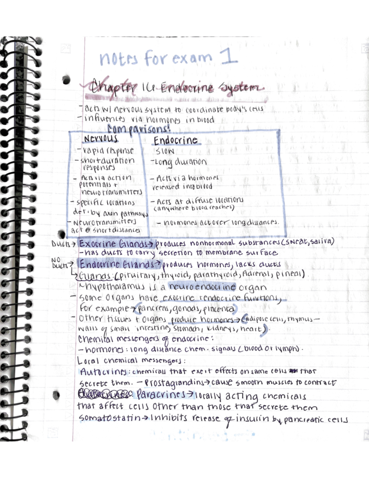 PDF Anatomy 7 - These notes were taken in class. Exam Prep. - BIOS 214 ...