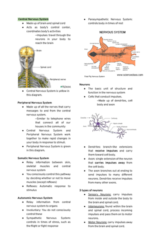 POST-Test-E-RUNT-Grade-5 - Science, Technology, Engineering and ...