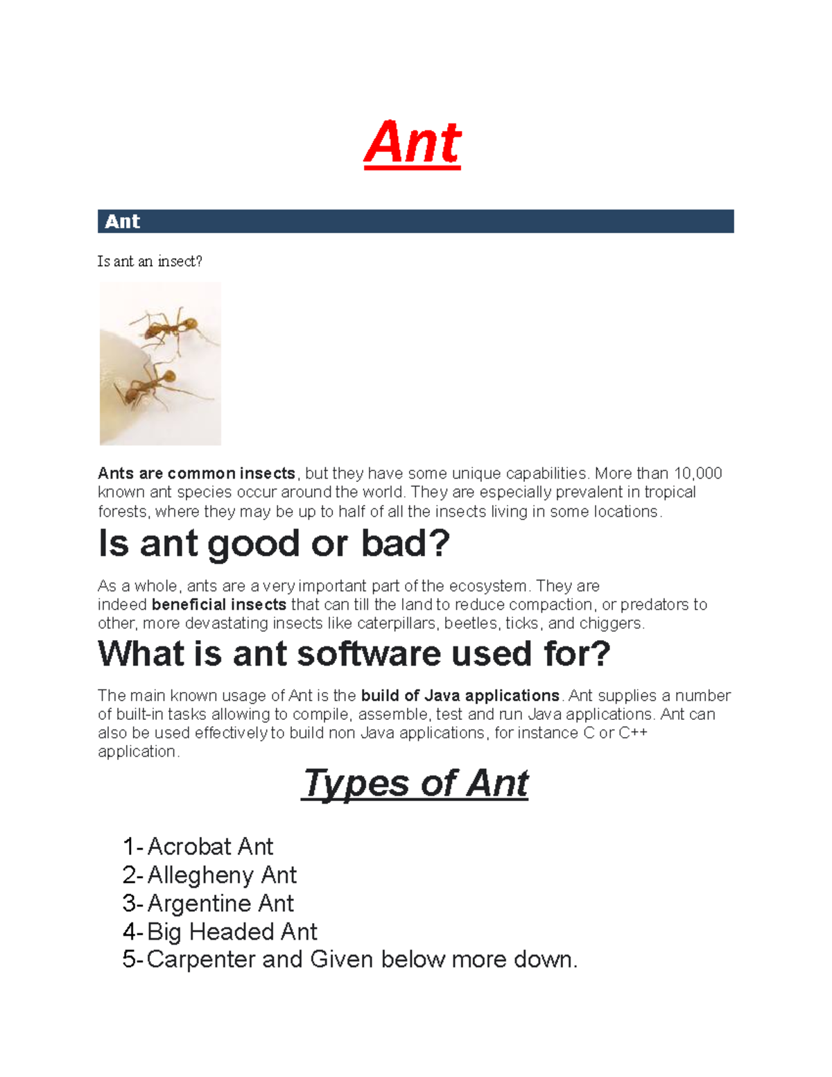 Ant - Ant Structure Body - Ant Ant Is ant an insect? Ants are common ...