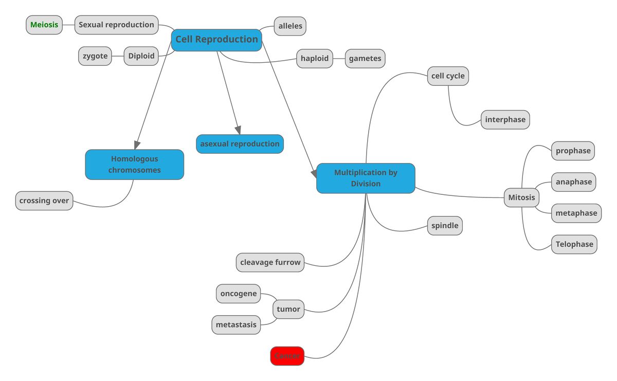 Concept map 6 - BIO 181 - Cell Reproduction Multiplication byDivision ...