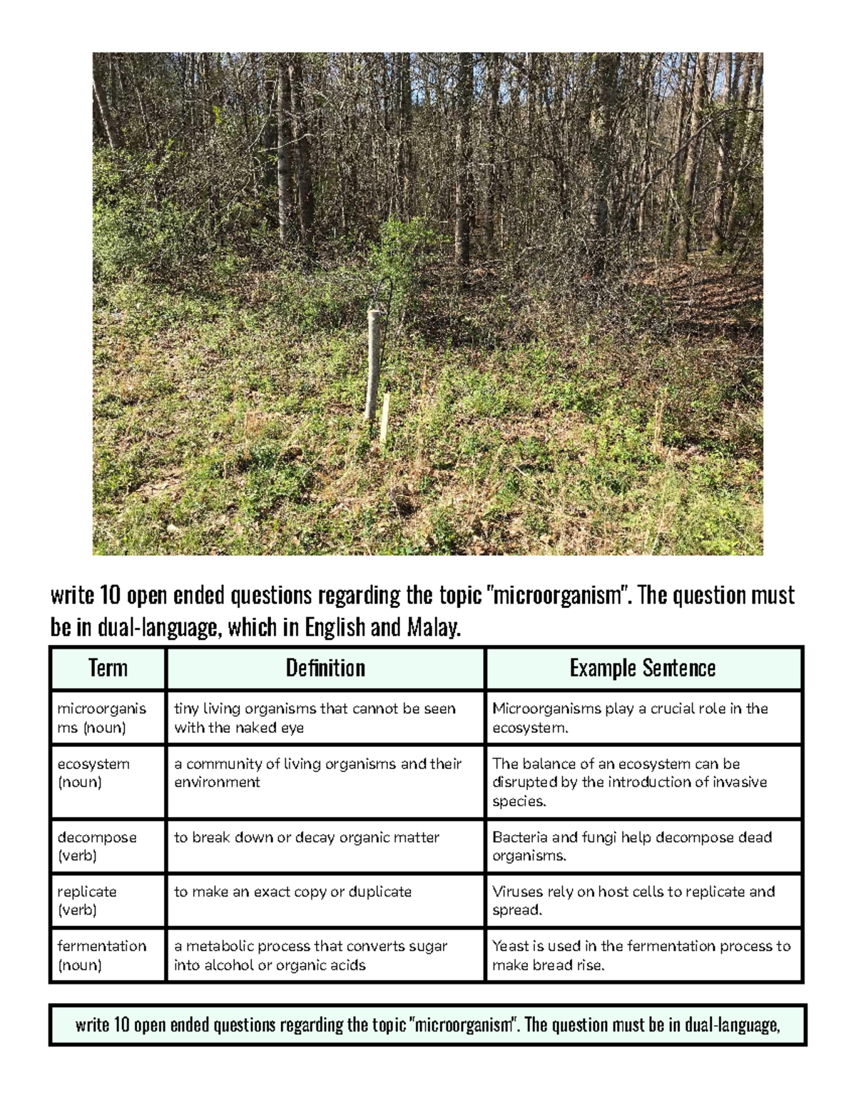 Write 10 open ended questions regarding the topic microorganism . The ...