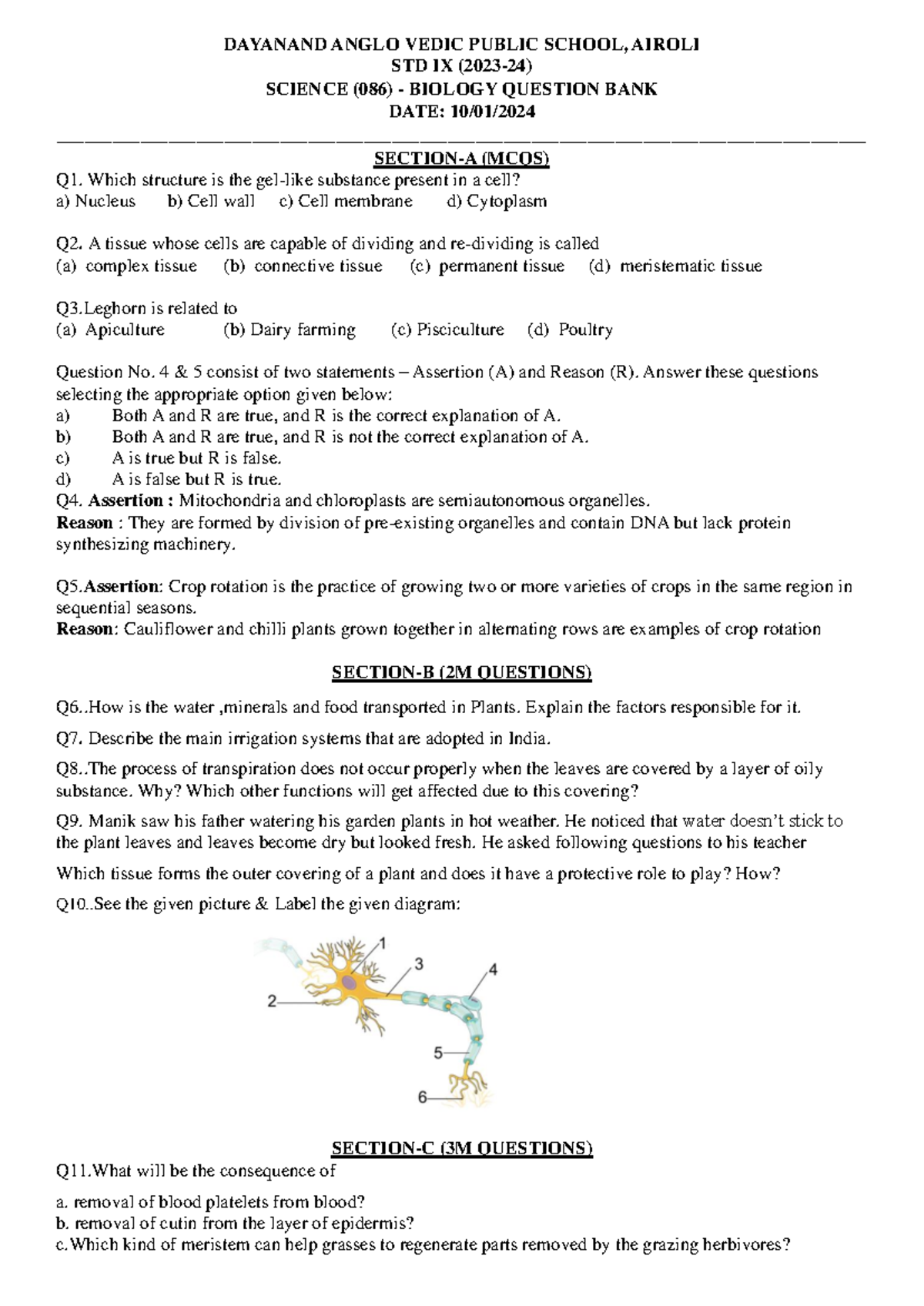 IX Question BANK Biology Final 23-24 - DAYANAND ANGLO VEDIC PUBLIC ...