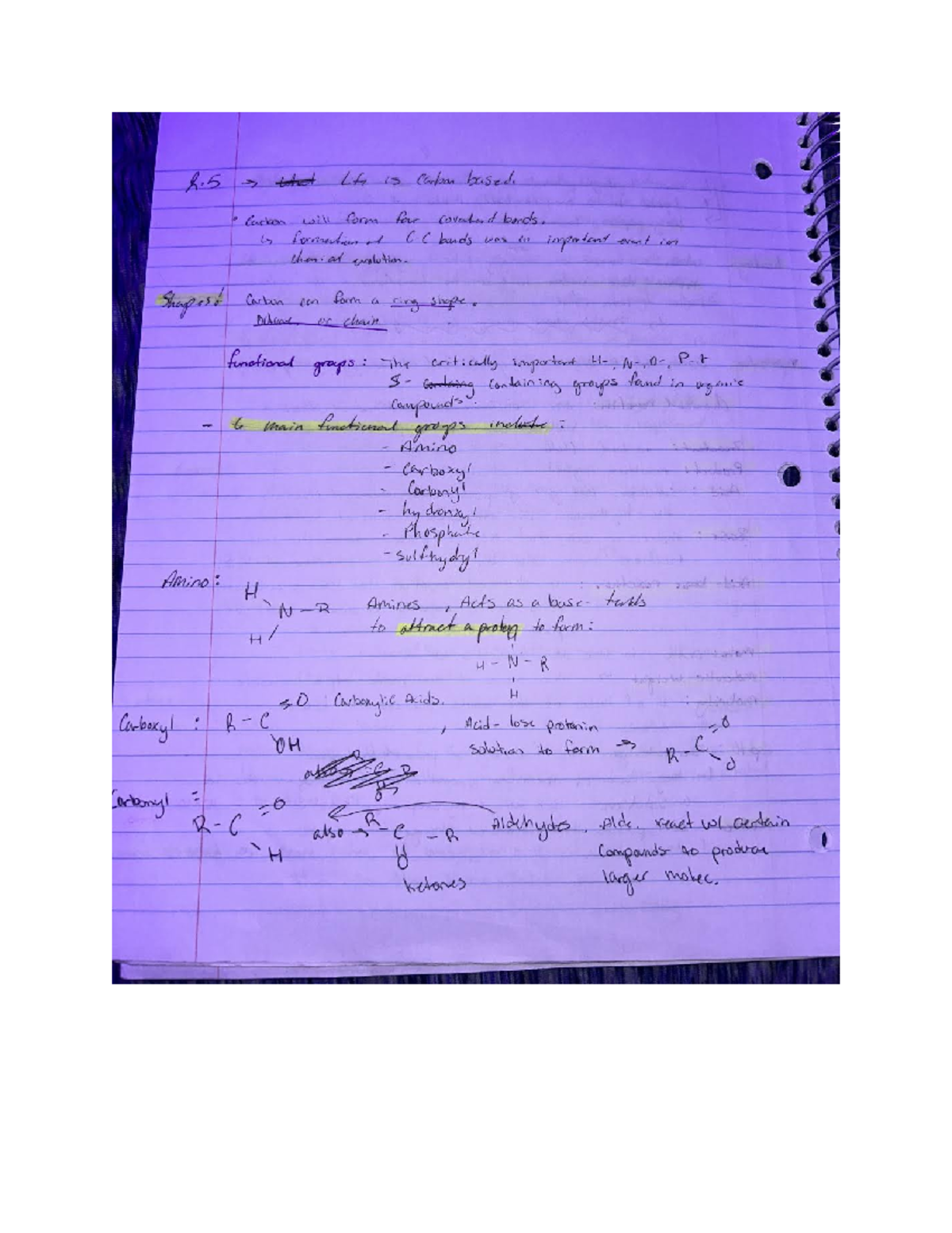 Bio 111 day 4 - lecture notes - BIO 111 - Studocu
