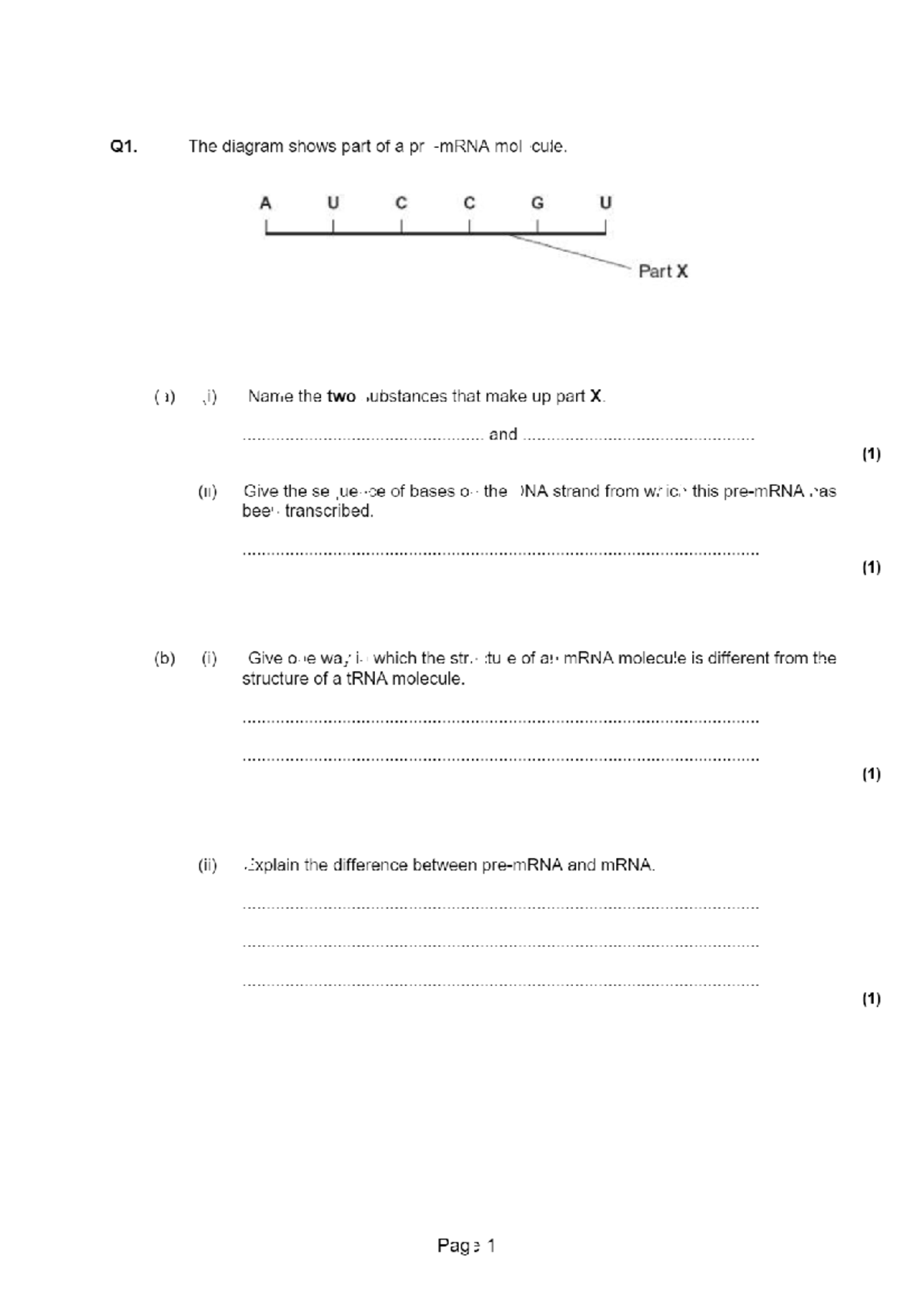 DNA, RNA and protein synthesis exam questions - BR13910 - Studocu