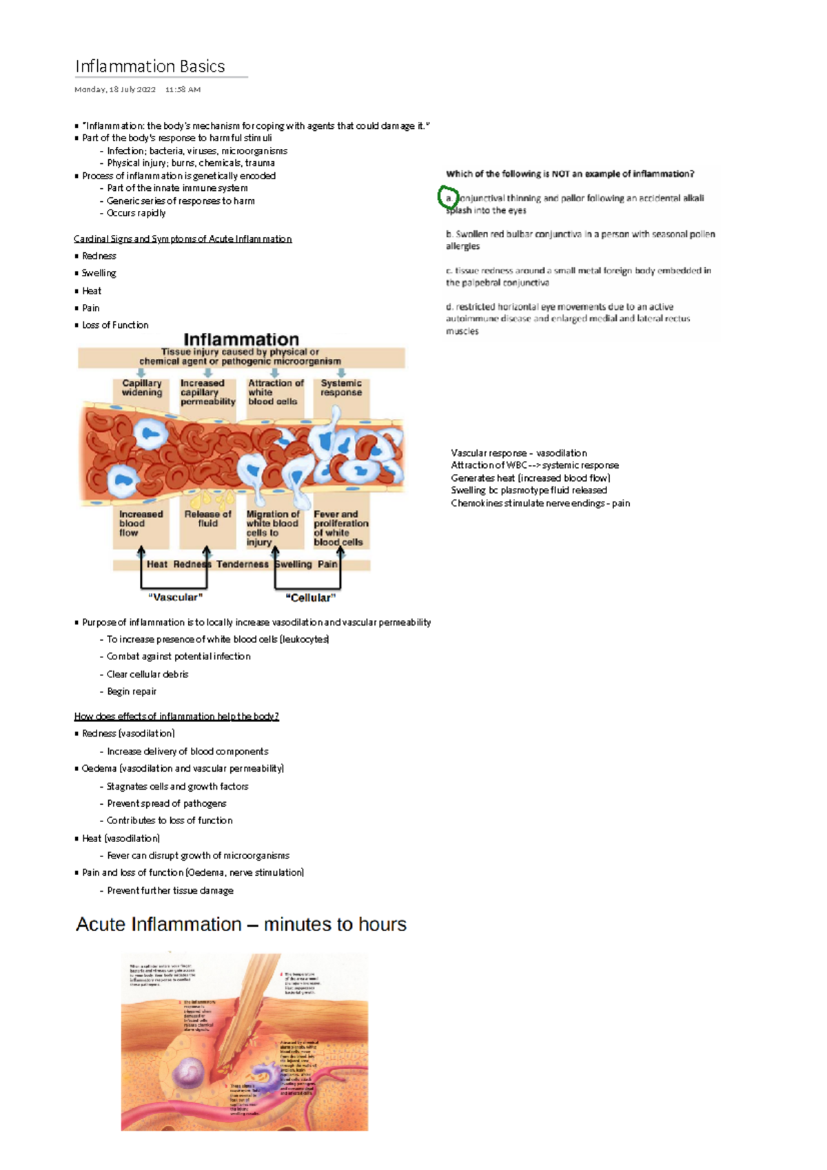 Inflammation Basics - Inflammation Basics Monday, 18 July 2022 11:58 AM