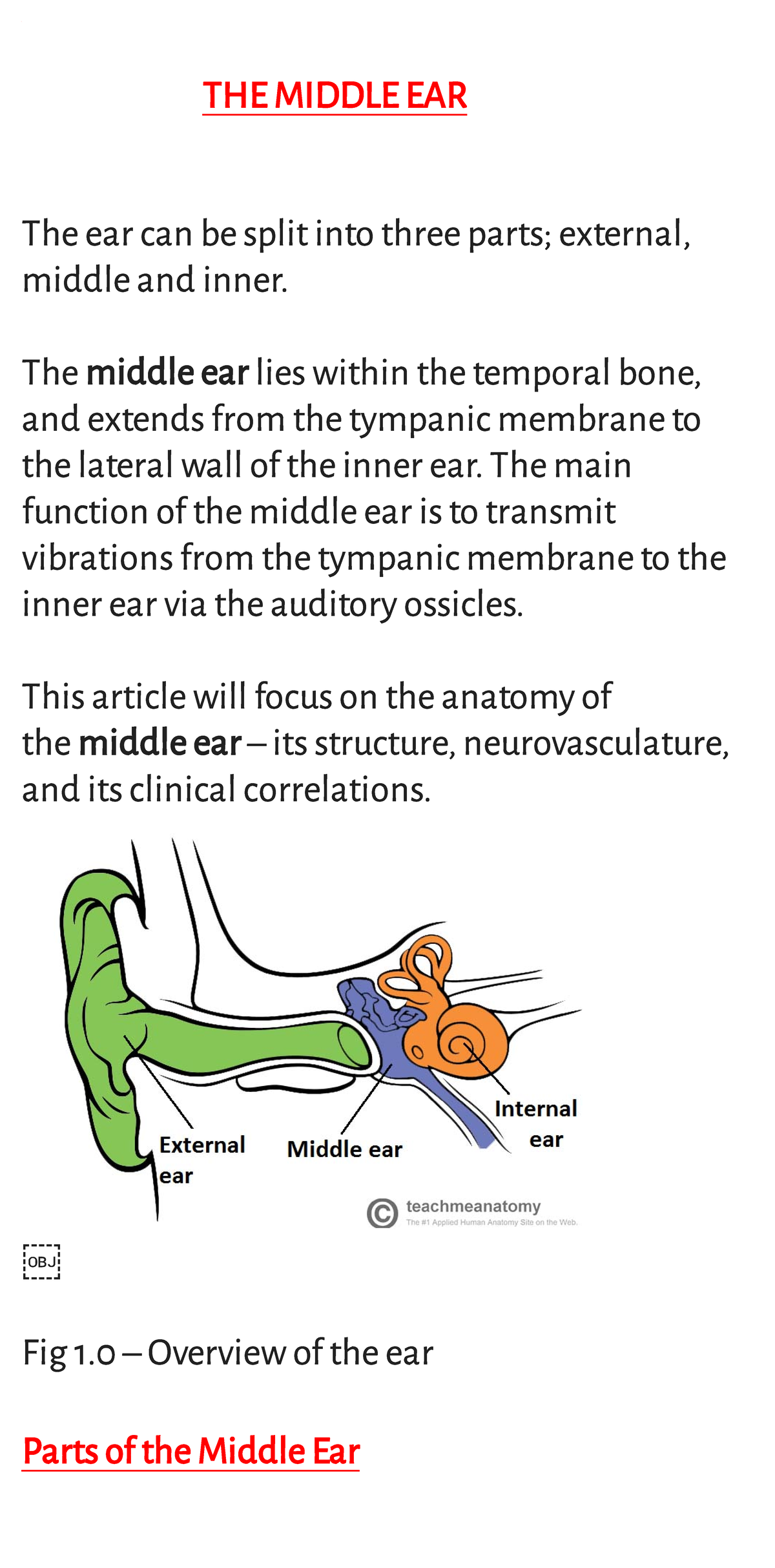 Middle ear anatomy contents muscles innervation relations and clinical ...