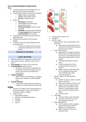Moina- Upper- Extremity - UPPER EXTREMITY (MUSCLES CONNECTING THE UPPER ...