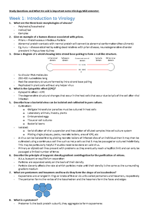 Practical - revision questions on virology - Questions: RNA Questions ...