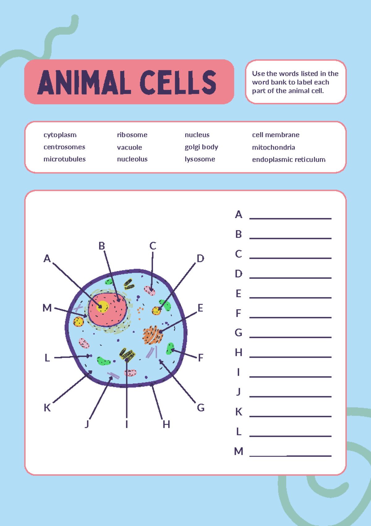 Animal Cell Organelles Worksheet in Colorful Illustrative Style ...
