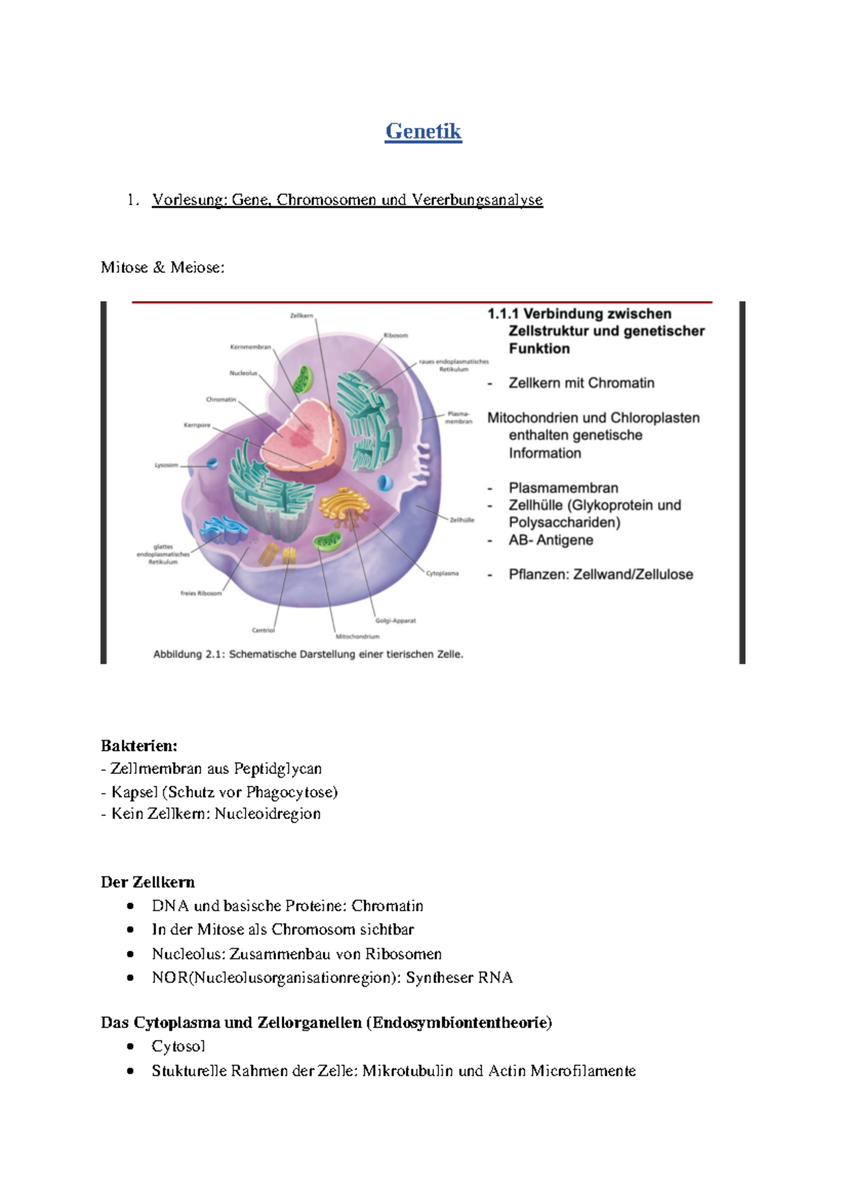 Notizen Genetik - Genetik Vorlesung: Gene, Chromosomen und ...