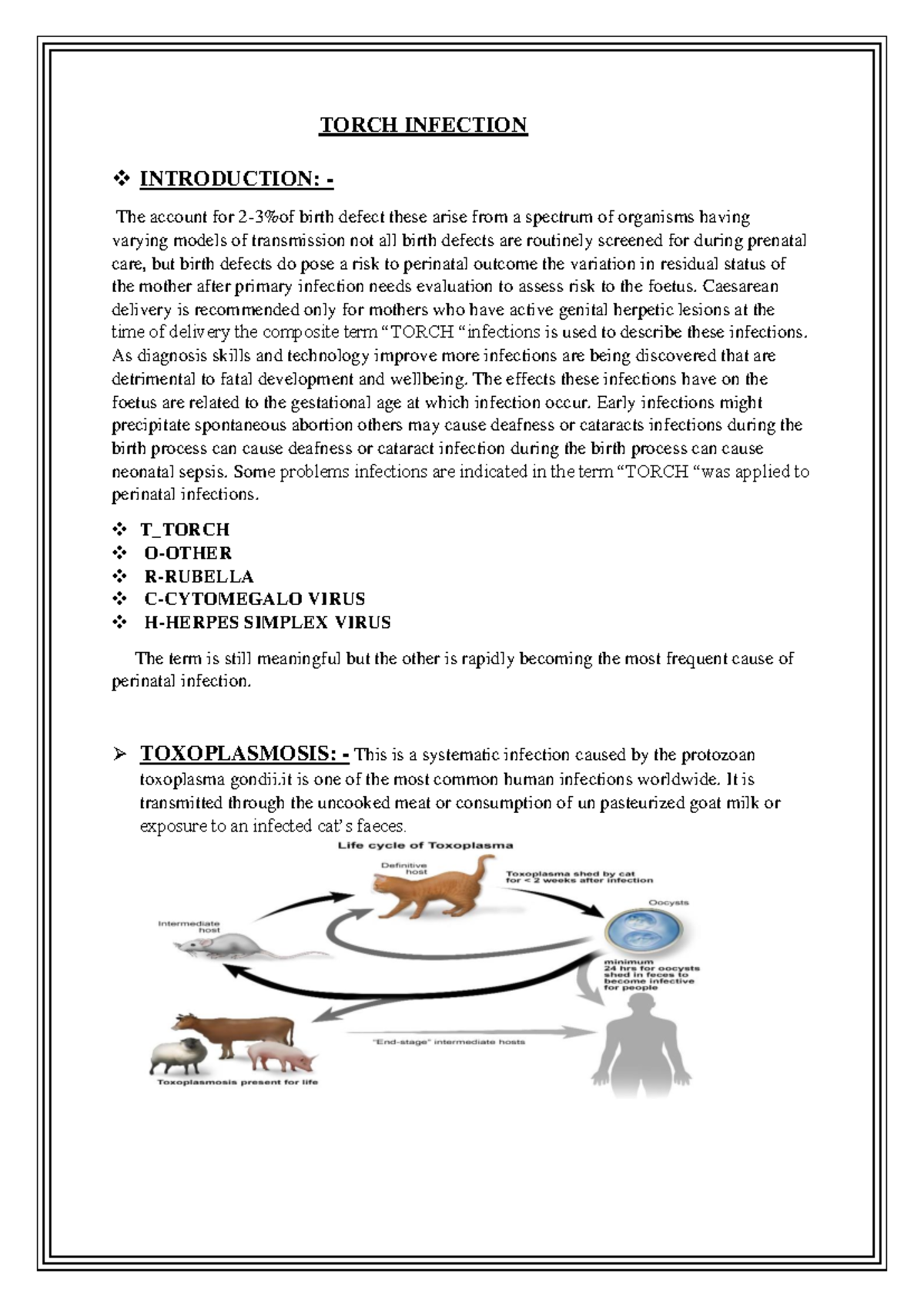 Torch Infectio Assignment - TORCH INFECTION INTRODUCTION: - The account ...