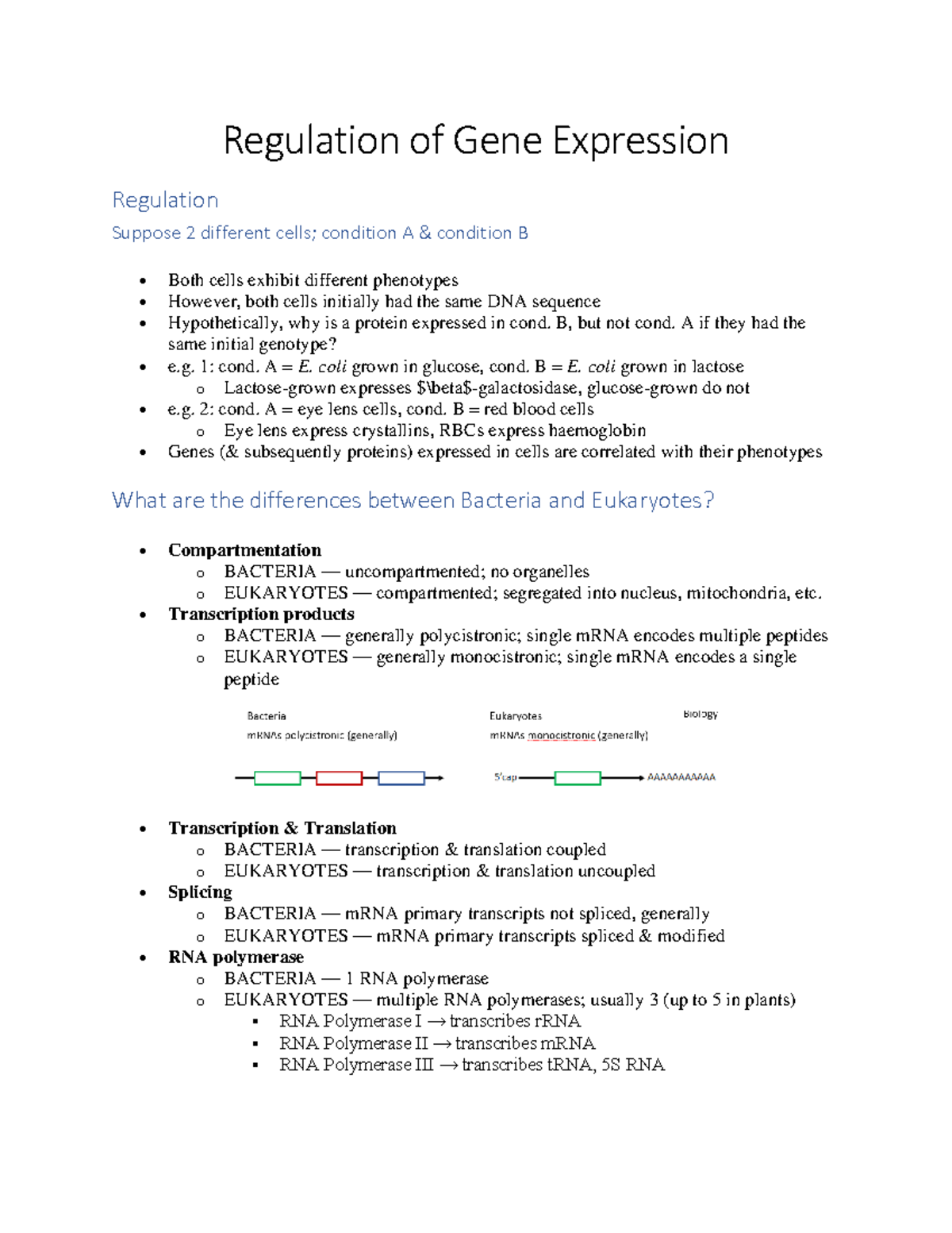 Week 6 Genetics - notes - Regulation of Gene Expression Regulation ...