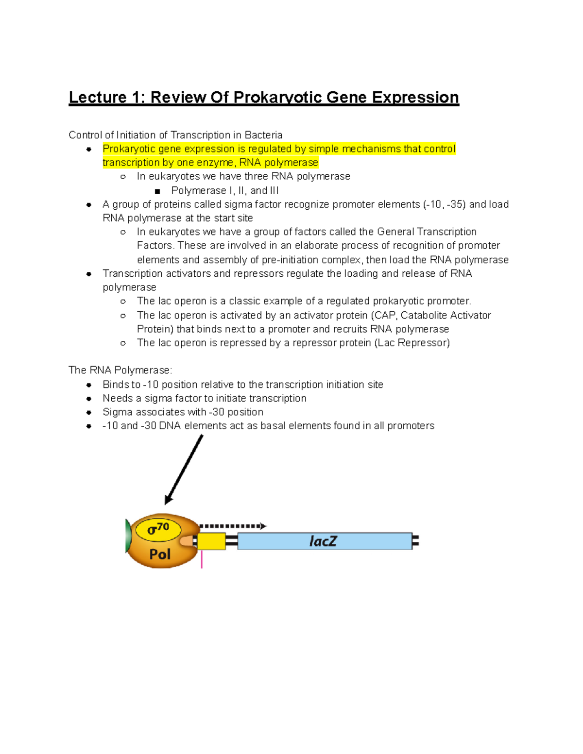 MCB 2050 - notes - Lecture 1: Review Of Prokaryotic Gene Expression ...