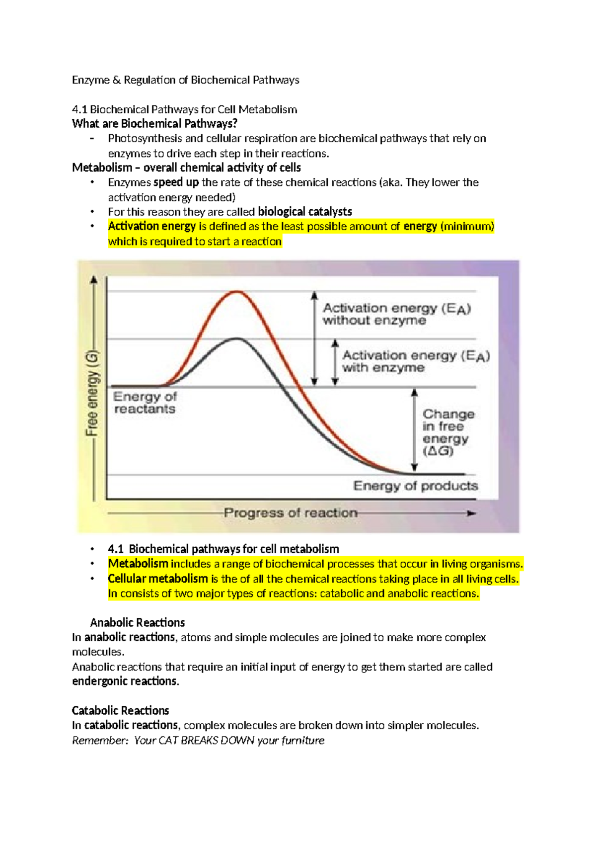 Enzyme & Regulation of Biochemical Pathways - Enzyme & Regulation of ...