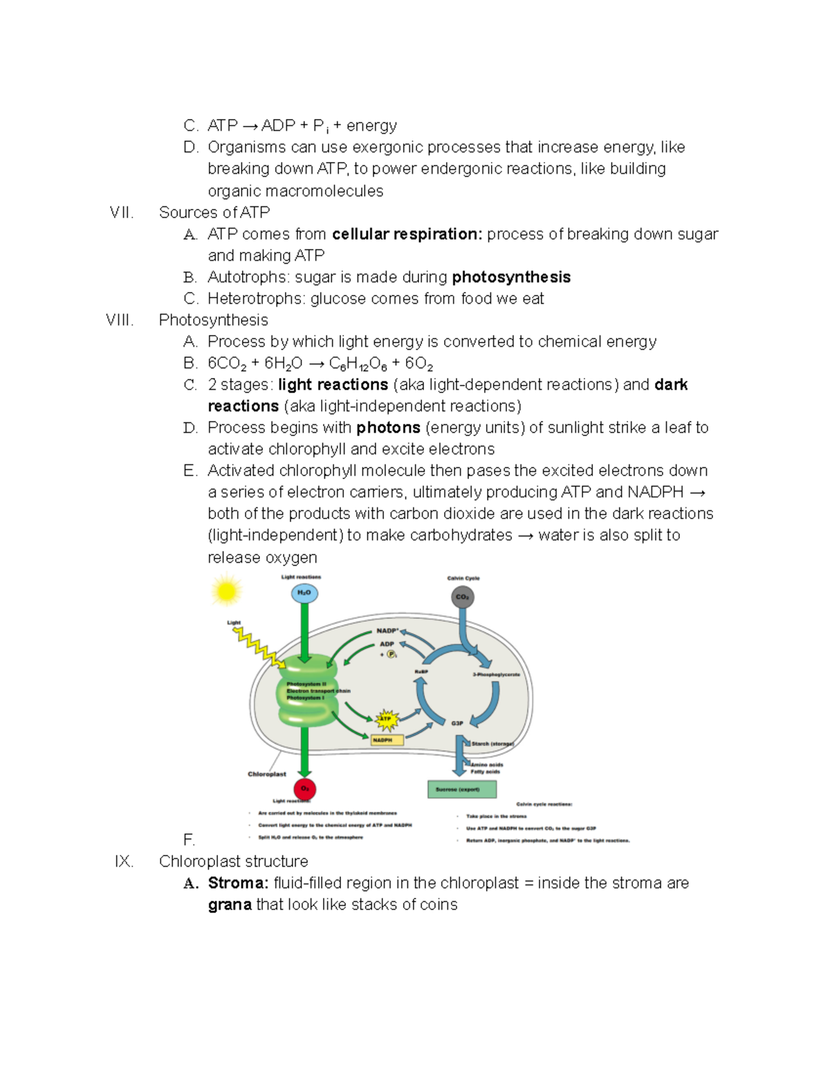 Photosynthesis - C. ATP ADP energy D. Organisms can use exergonic ...