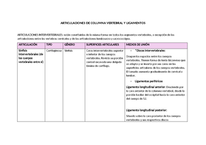 Anato 2do parcial tórax - Copia - ANATOMÍA RESÚMENES 2DO PARCIAL- TÓRAX ...