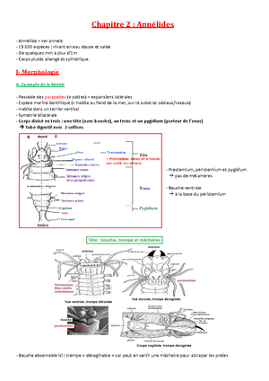 Cours Biologie animale - Chapitre 1 : organisation de l’animal et diversité La biologie animale ...