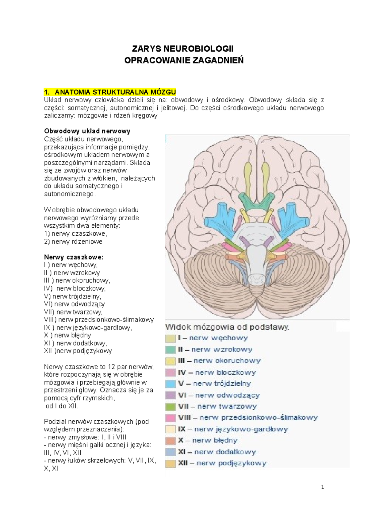 Zarys Neurobiologii opracowanie zagadnień - ZARYS NEUROBIOLOGII ...