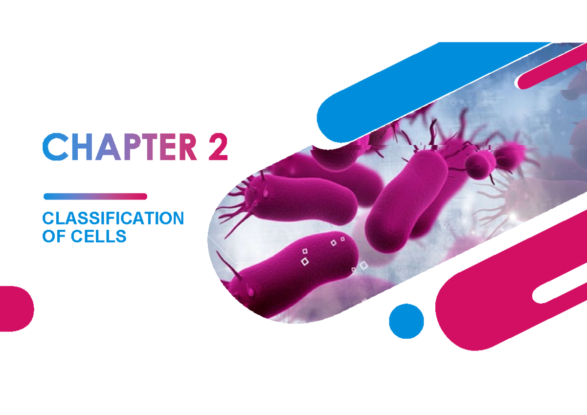 Chapter 2 - nothing up here, just keep scrolling - CLASSIFICATION OF ...